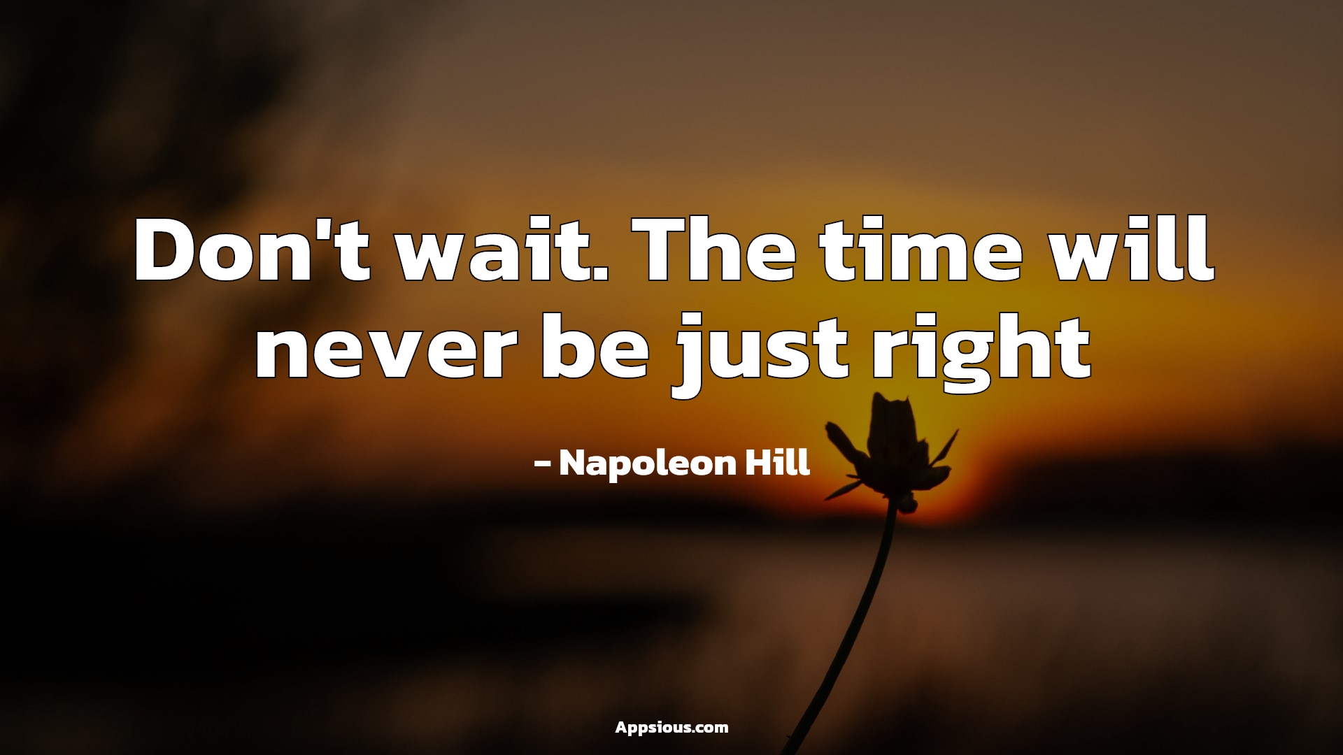 Don't wait. The time will never be just right - quotewis.com