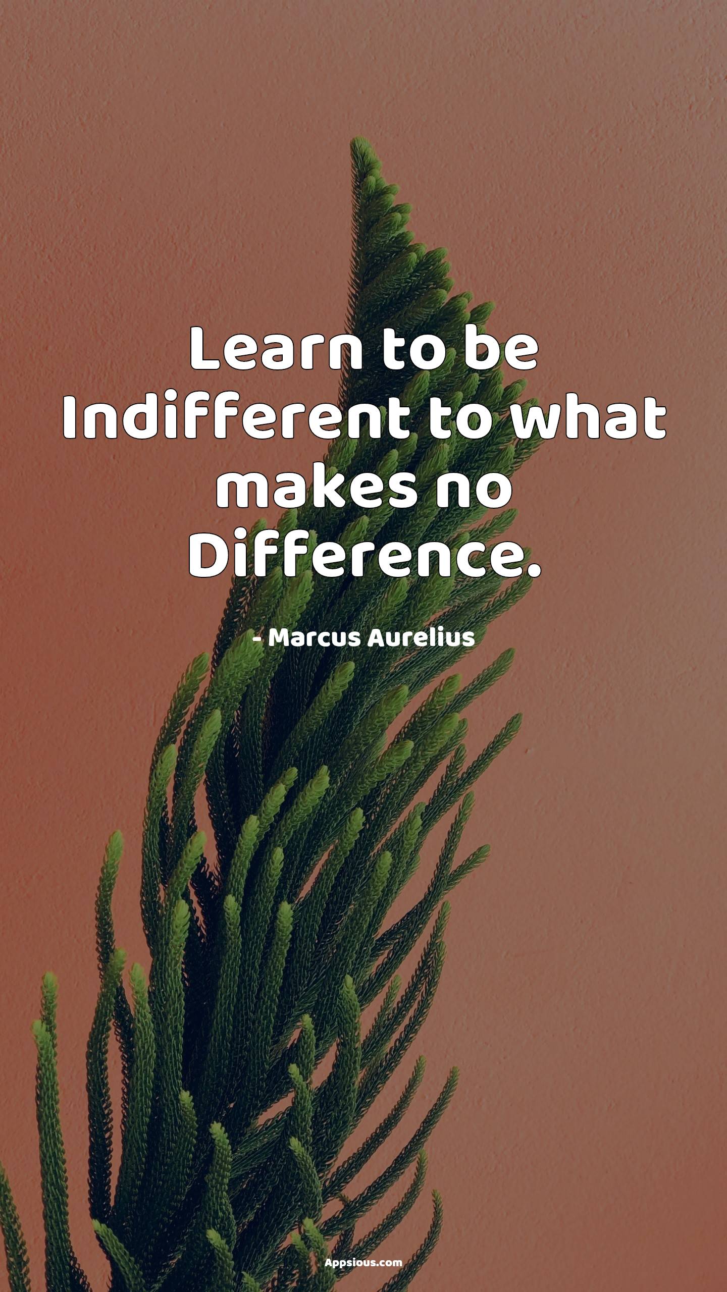 Learn to be Indifferent to what makes no Difference. - quotewis.com