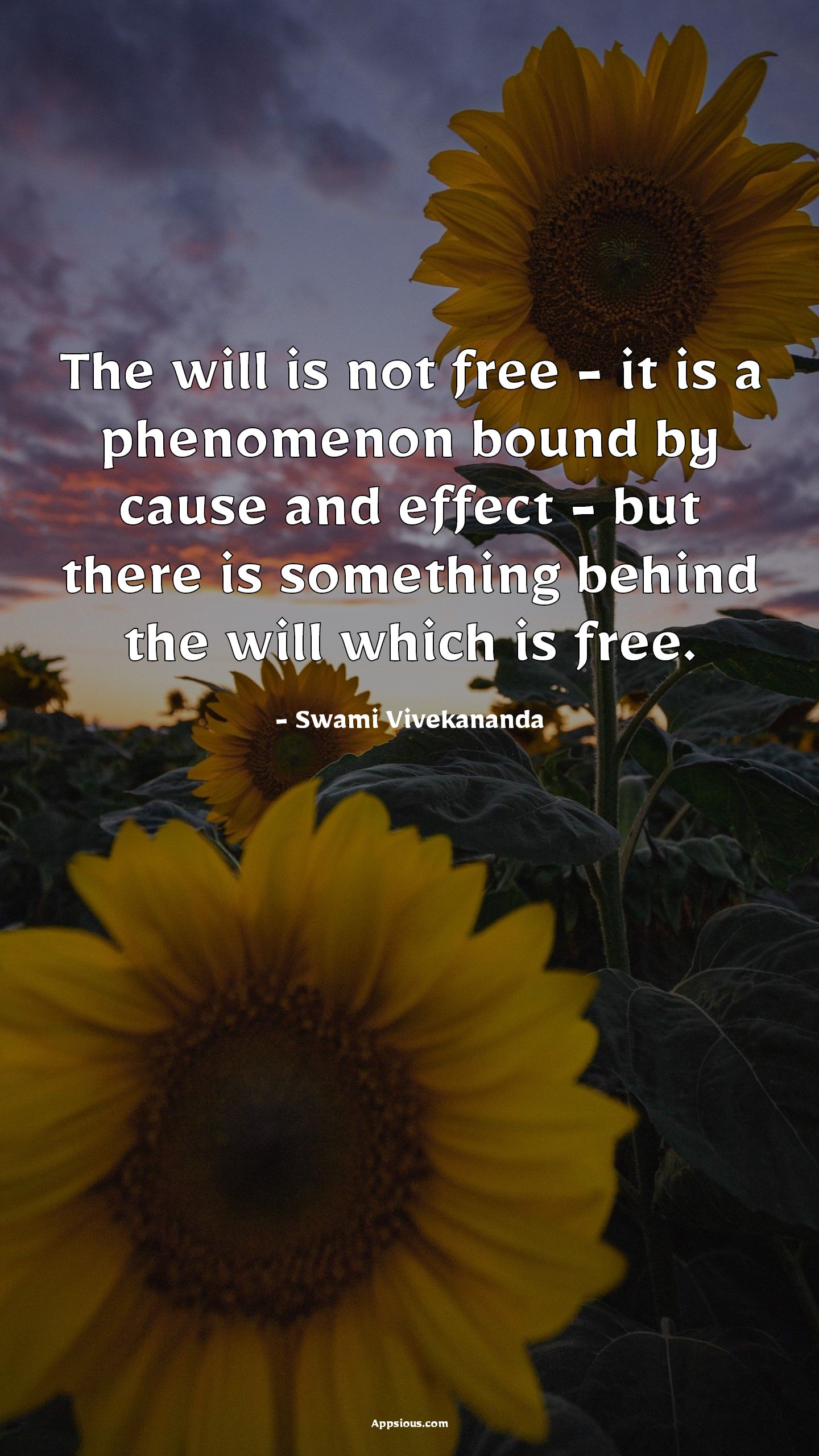 The will is not free - it is a phenomenon bound by cause and effect ...